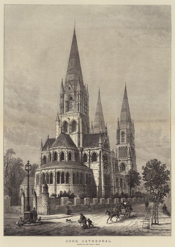 Catedral de Cork | Samuel Read | Impresión de arte